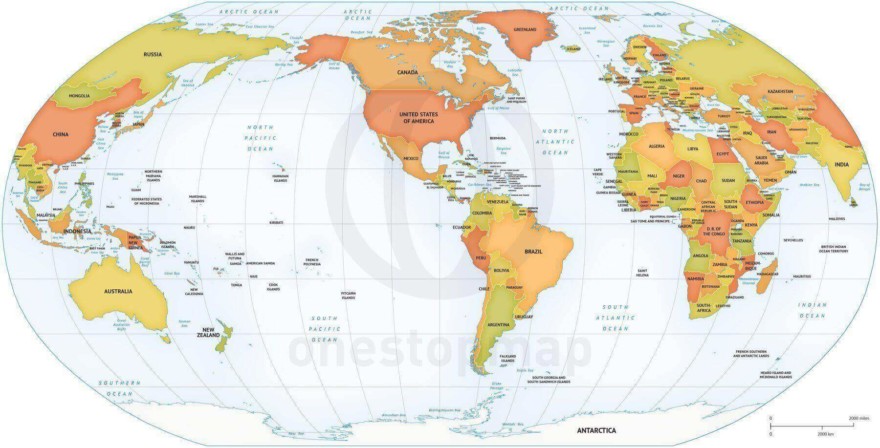 Vector Map World North Pole centered | One Stop Map