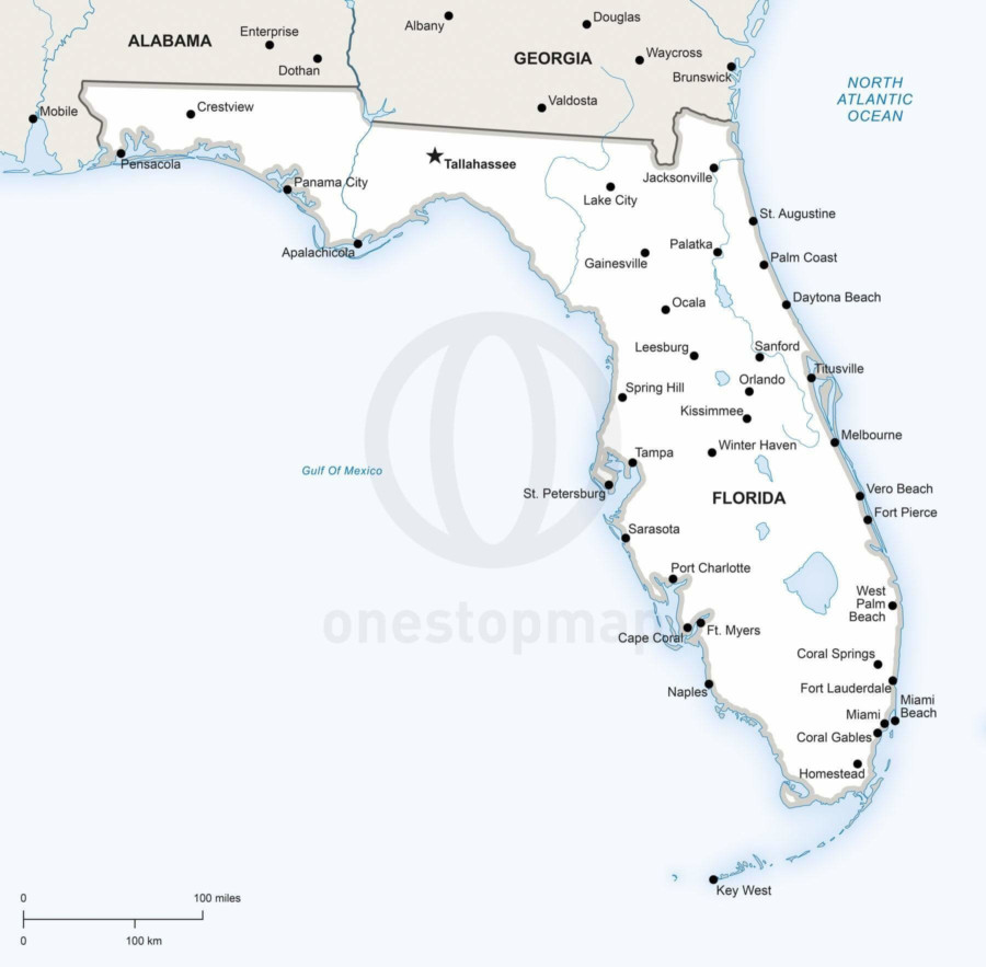 Vector Map of Florida political | One Stop Map